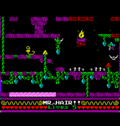 The Hair-Raising Adventures of MR HAIR!