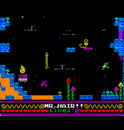 The Hair-Raising Adventures of MR HAIR!