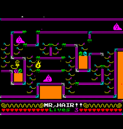 The Hair-Raising Adventures of MR HAIR!